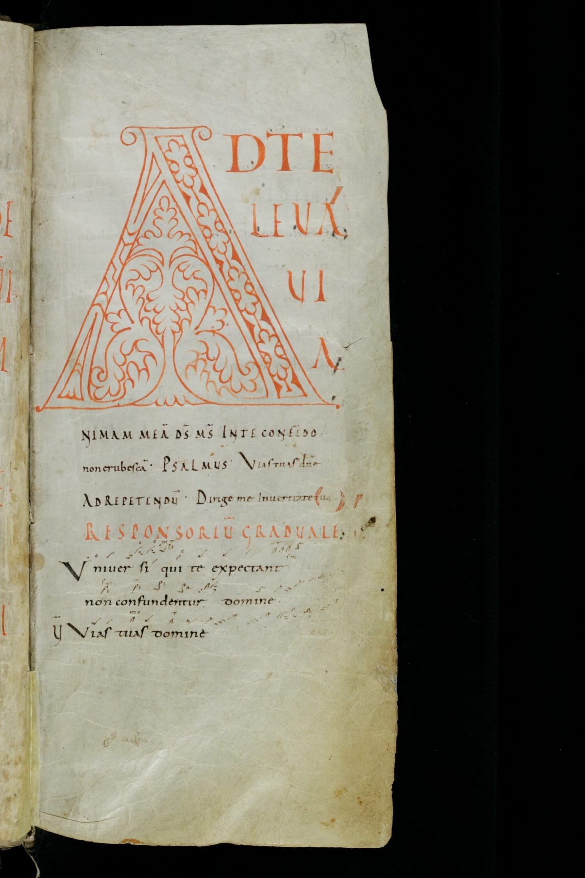 Medieval Music: Harmonious Echoes of the Past