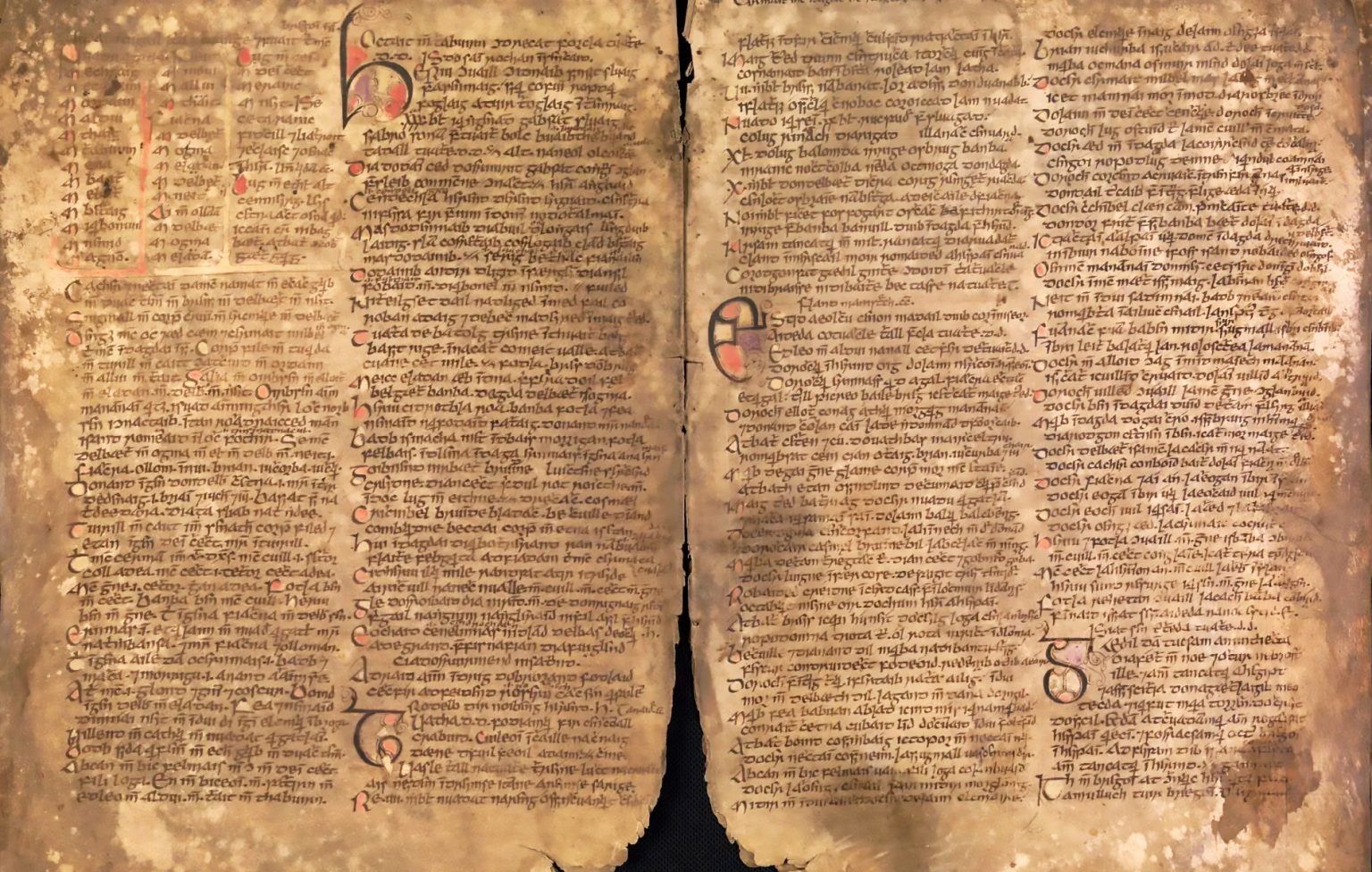 The Druids and Their Sacred Island